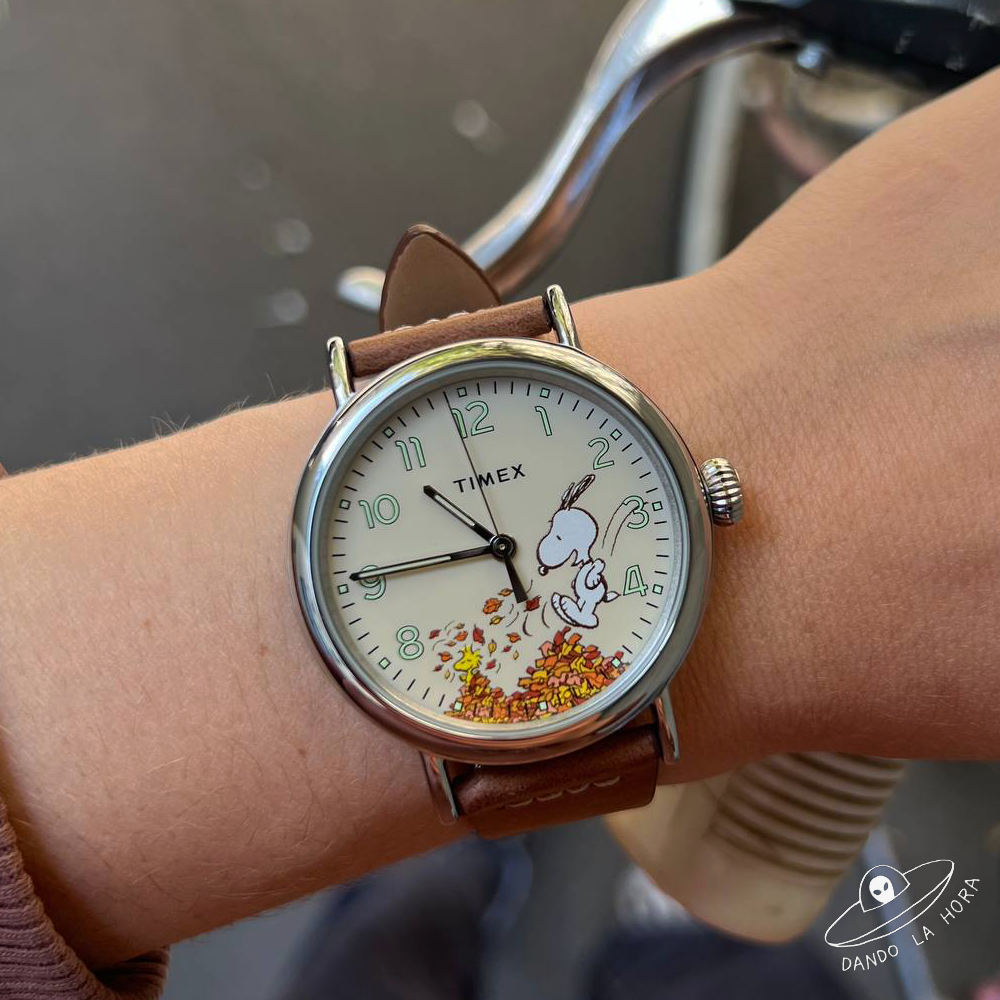 Reloj Análogo Timex Weekender Serie Peanuts TW2U86200 - Dando la Hora ...